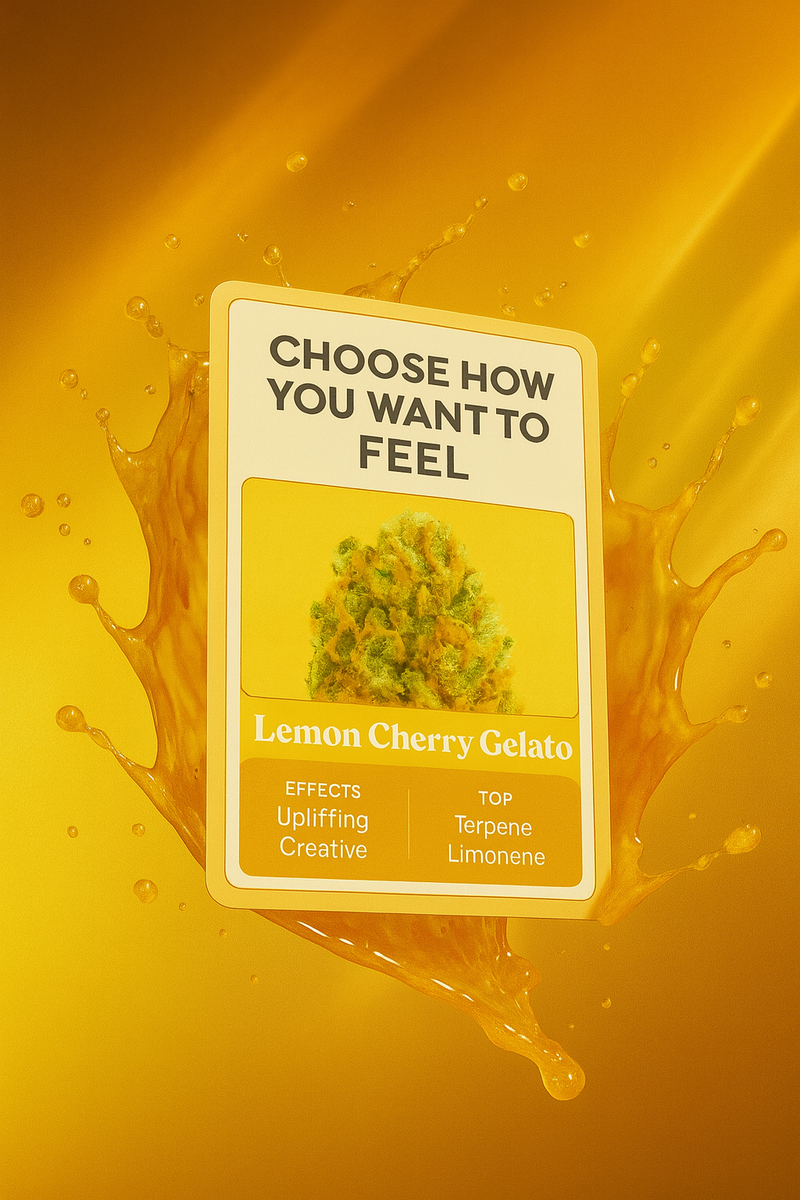 THCA Flower Explained: What It Is, How It Works, and Why It Matters ...